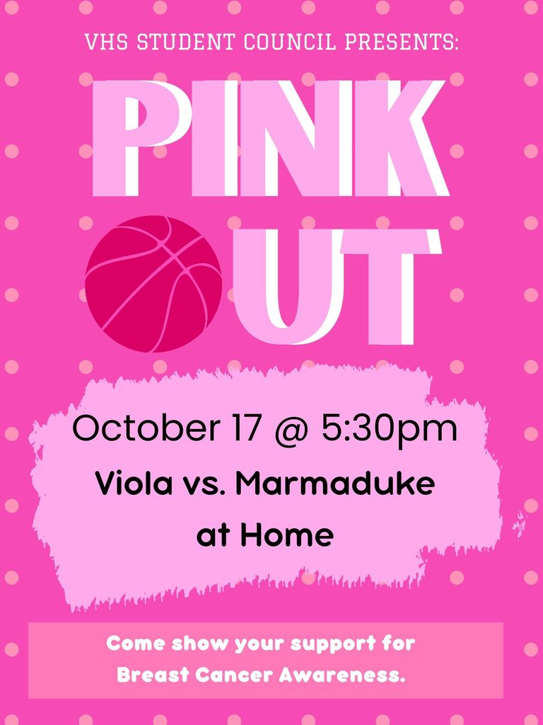 Live Feed | Viola School District #15